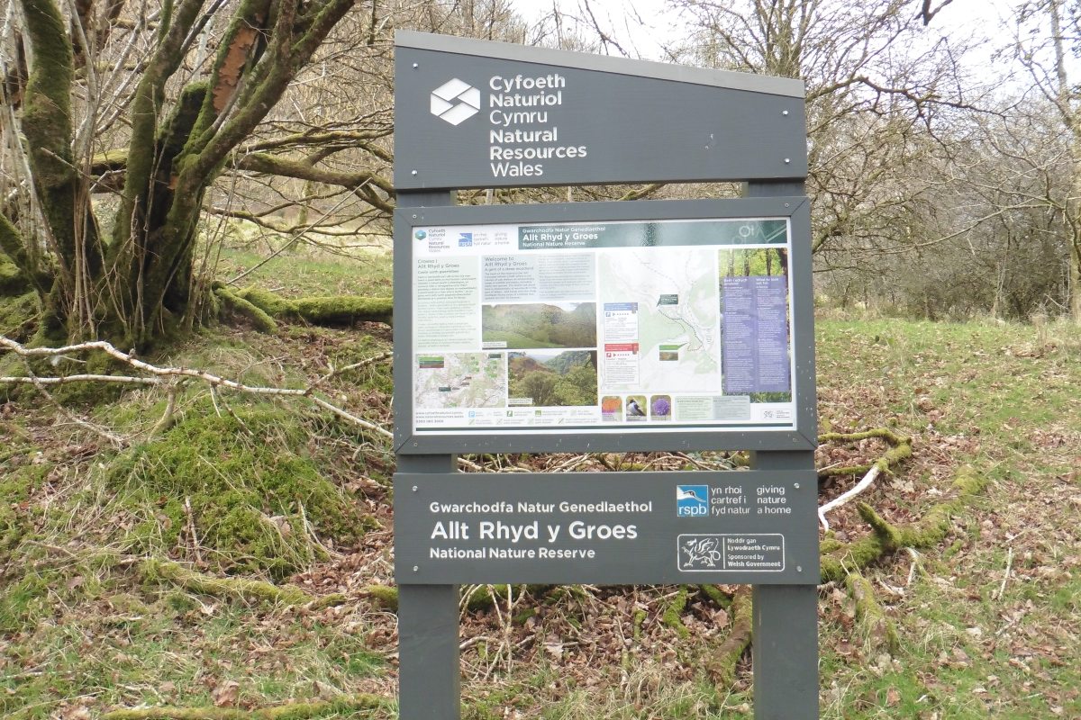 Allt Rhyd y Groes revisited – The Old Man of Wytham