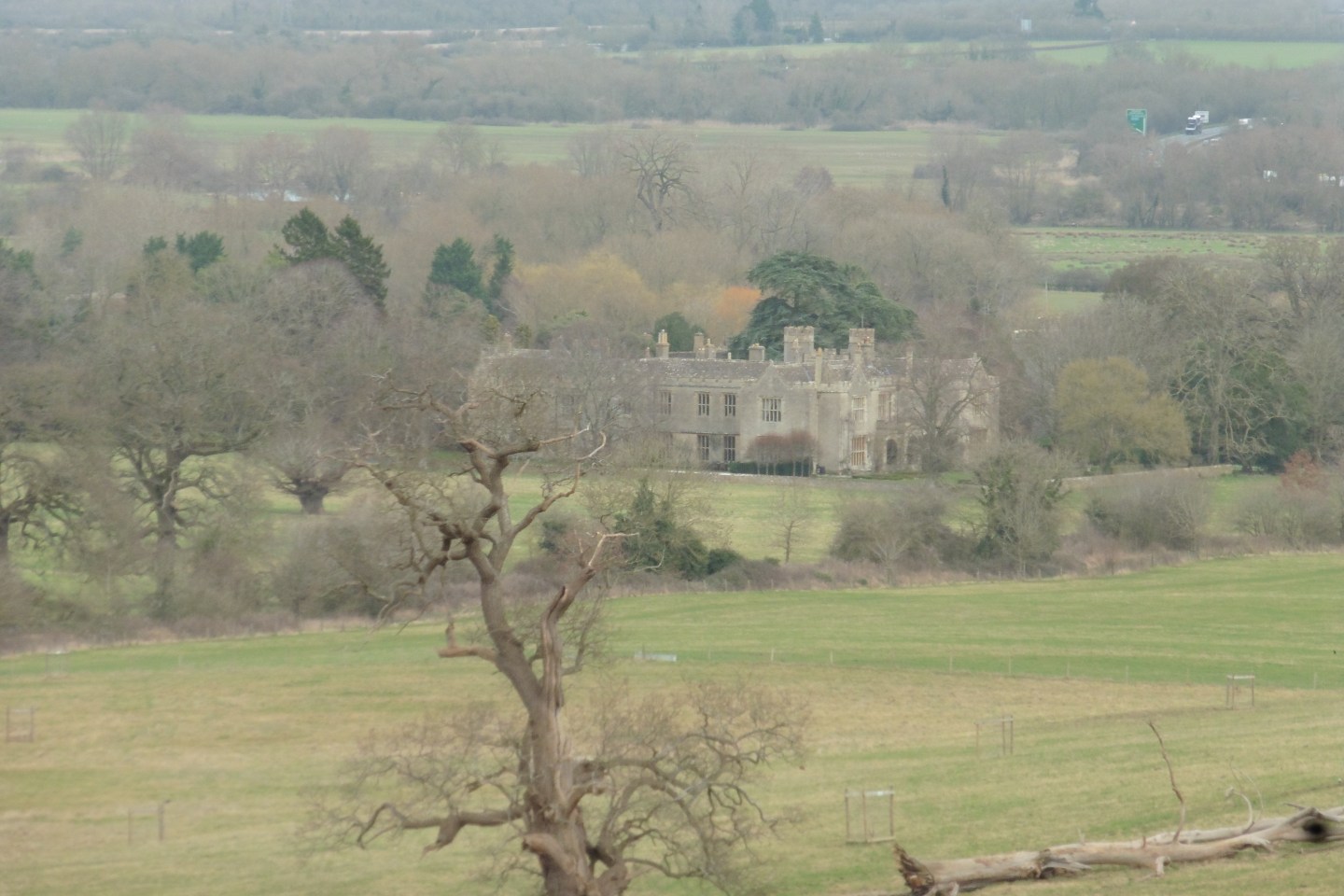 Out with the old, in with the new – The Old Man of Wytham